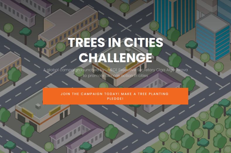 URBAN TREES AND FORESTS IN THE SPOTLIGHT AS THE UN DECADE ON ECOSYSTEM ...