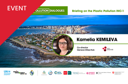 Briefing on the 1st Session of the Intergovernmental Negotiating Committee to Develop an ...